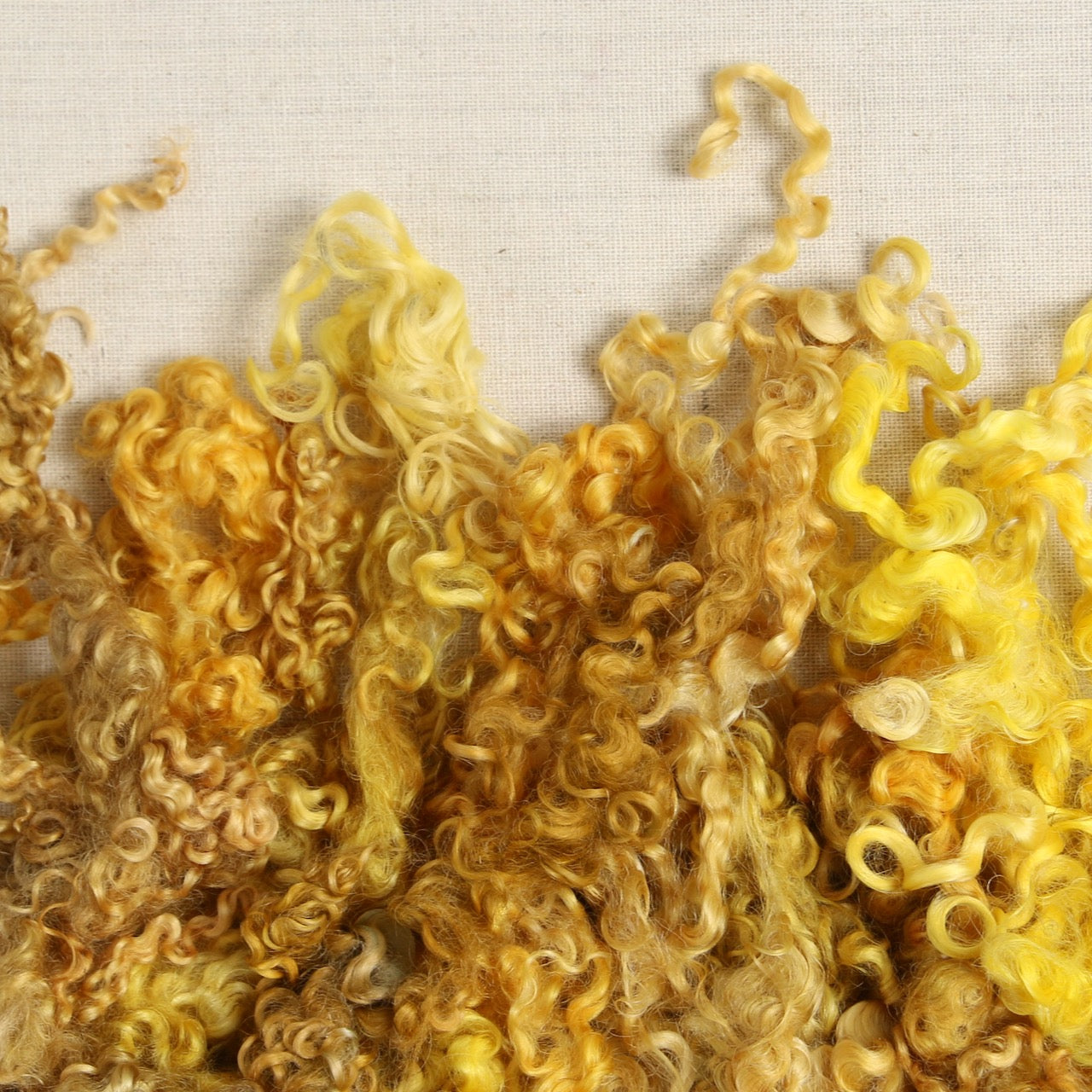 Wensleydale Curls, Yellow – Benzie Design