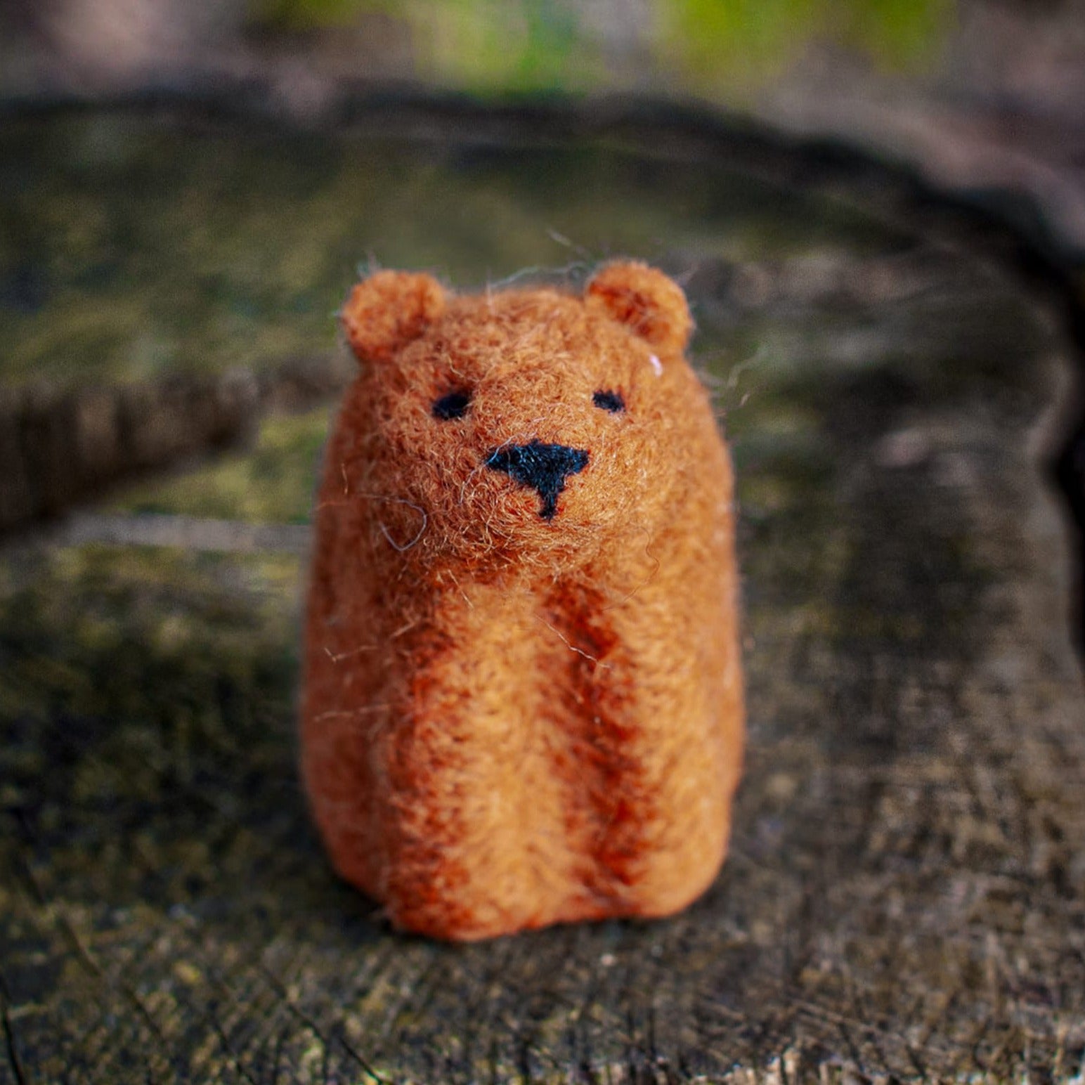 Bear, Needle Felting Kit – Benzie Design