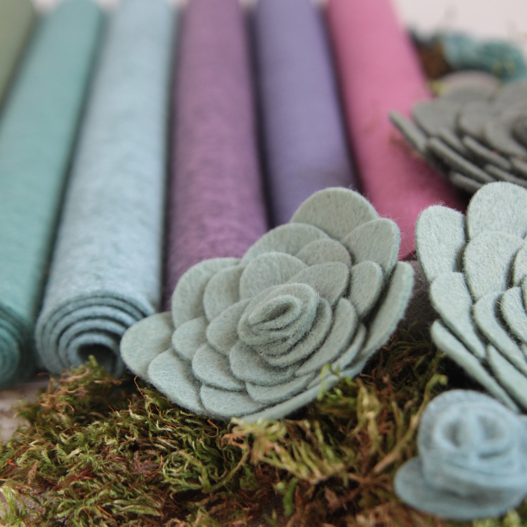 Succulents Palette – Benzie Design