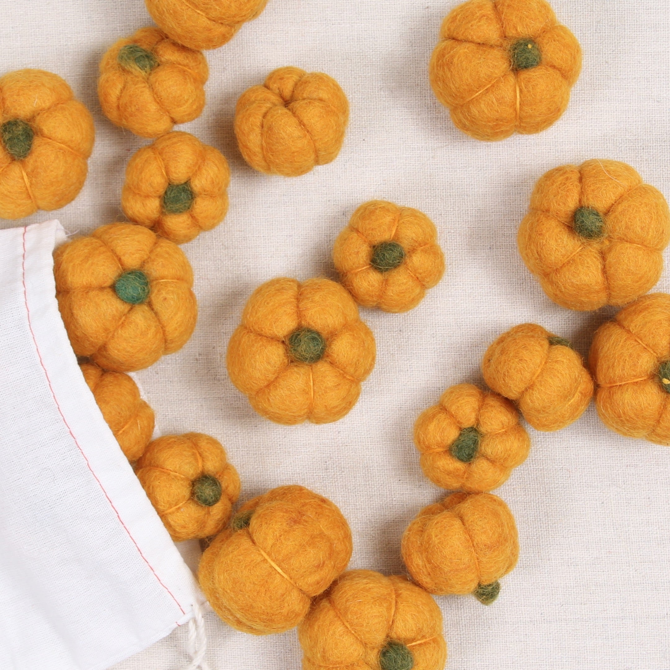 Pumpkins in Butterscotch Orange – Benzie Design